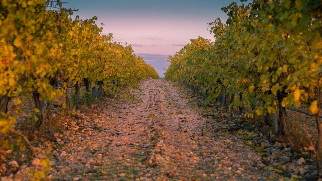 Contact | MN Wineries Online Directory